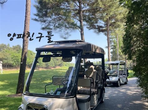 양파 친구들 송파골프 문정골프 장지골프 위례골프 가락골프 잠실골프 강남골프 모임 BAND