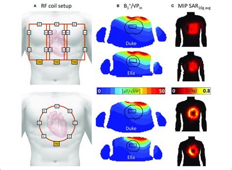 Simulation Comparison Of The Proposed 3 Element Array With A Standard