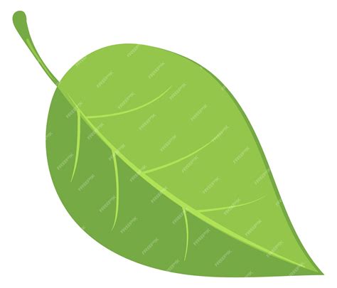 Dibujo De Una Hoja De Arbol Personaje De Dibujos Animados Verde De La
