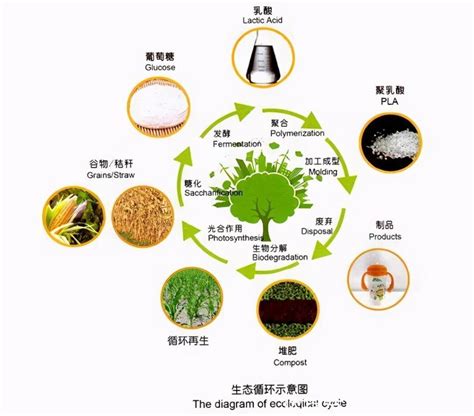 Pla什么意思聚乳酸简介 工作号