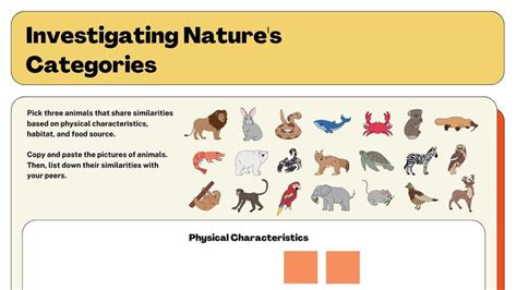 Free Customizable Comparison Chart Templates Canva