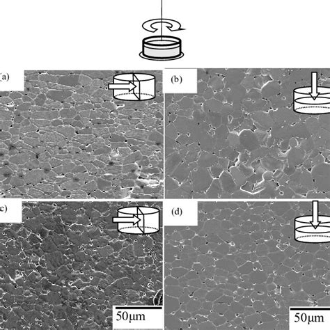 microstructures of sintered zno a b samples prepared in magnetic