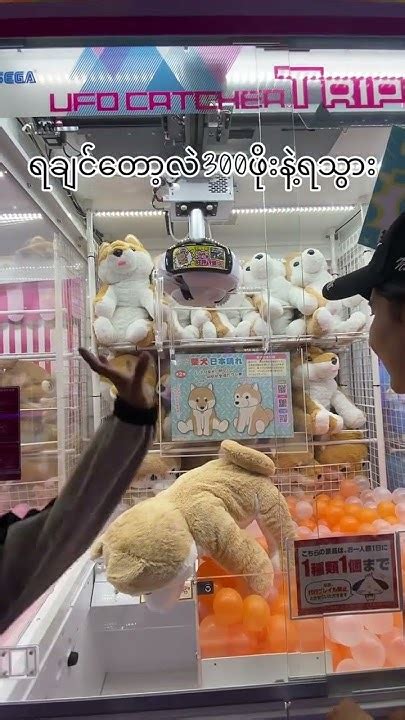 ၃၀၀ ဖိုးနဲ့ အရုပ်ကြီးရသွားတယ် တော်လိုက်တာ 🤗🥰 Youtube