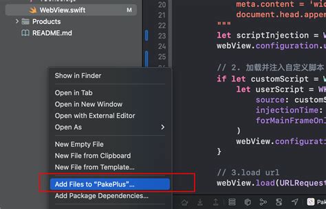 在swiftui项目中使用wkwebview加载自定义脚本文件