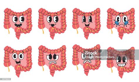 내장 귀여운 캐릭터 소화 기관 마스코트 절연 세트 벡터 그래픽 디자인 일러스트 개체 그룹에 대한 스톡 벡터 아트 및 기타 이미지 개체 그룹 건강 진단 건강관리와 의술