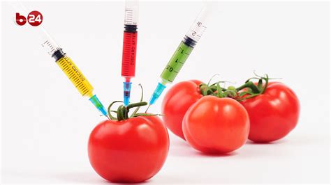 OGM ECCO COME LA COMMISSIONE UE VUOLE DEREGOLAMENTARLI