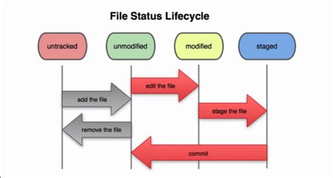 GitHub Bizzome Github Course Repositorio Para Teste No Github