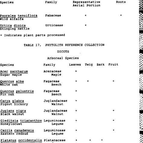 Phytolith Reference Collection Download Scientific Diagram