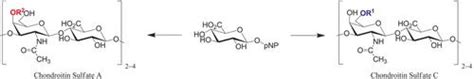 酶法合成均质硫酸软骨素寡糖 Angewandte Chemie International Edition X Mol