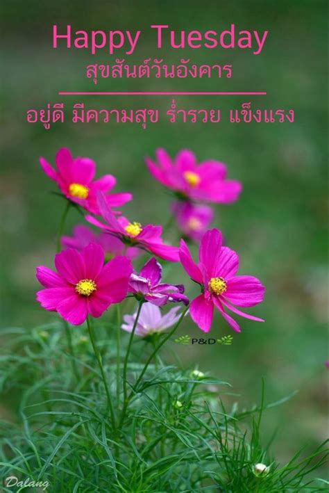 วันอังคาร🌿🌸 Good Morning Greetings Morning Greeting Good Morning