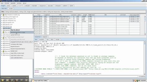 Burp Suite Pro License Key Risegai