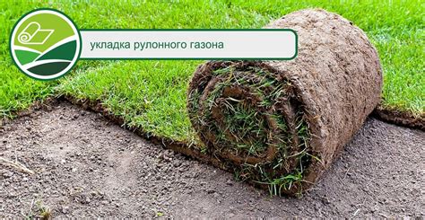 Укладка газона: полное руководство | Британские газоны
