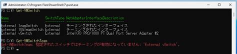 Get Vmswitchteam 】コマンドレット――hyper Vのsetが有効化された仮想スイッチのset関連情報を取得する