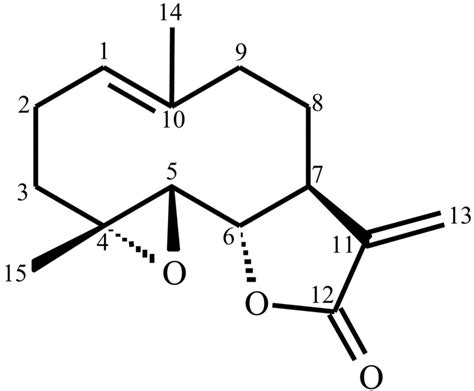 Chemical Structure Of The Sesquiterpene Lactone Download