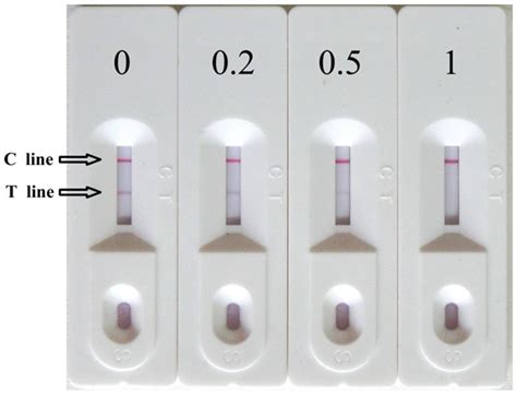 Sensors Special Issue Nanoparticle Based Biosensors