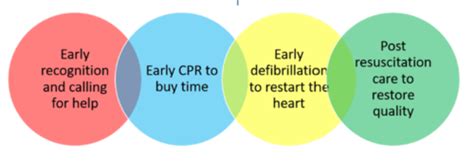 Bls Flashcards Quizlet