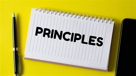 the key ui ux design principles you need to know designient school of