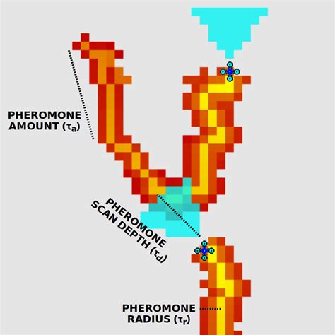 three pheromone parameters proposed for cacoc download scientific diagram