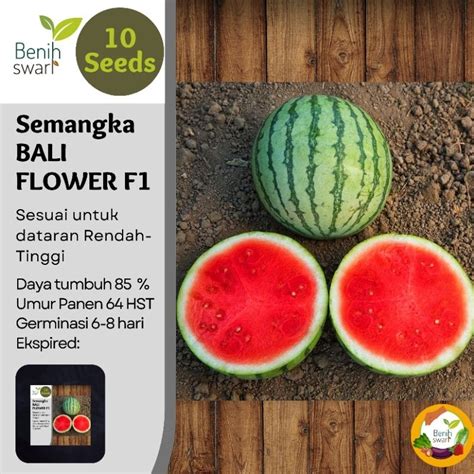 Jual Benih Swari Isi 10 Butir Benih Semangka Bali Flower F1 Semangka