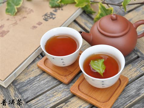 4款养生普洱茶最适合在秋季喝