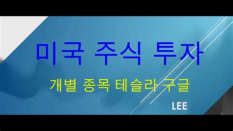 주식 미국 주식 투자 개별 종목 테슬라 구글 Youtube