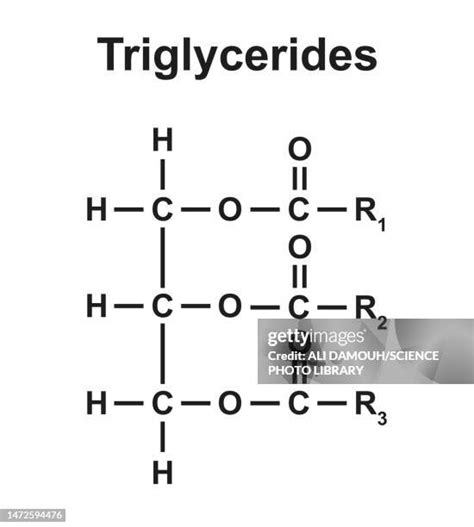 Triglyceride Molecule Photos And Premium High Res Pictures Getty Images