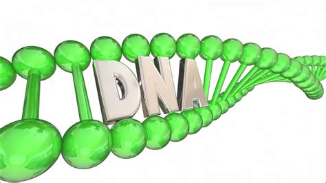 Rna Modification Guide Boc Sciences Youtube