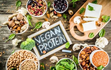 Best Foods To Eat To Lose Belly Fat