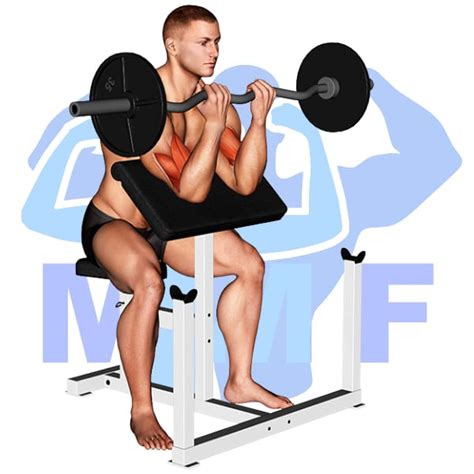 29 Barbell Arms Exercises Simplified For Your Workout