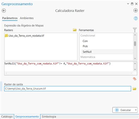 ArcGIS Pro Álgebra de Mapas para Manipulação dos Valores Nulos de um Raster InstrutorGIS
