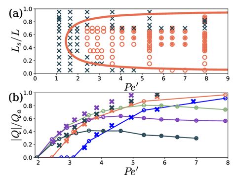 A Classification Of The Asymptotic Dynamics Seen From The Lattice