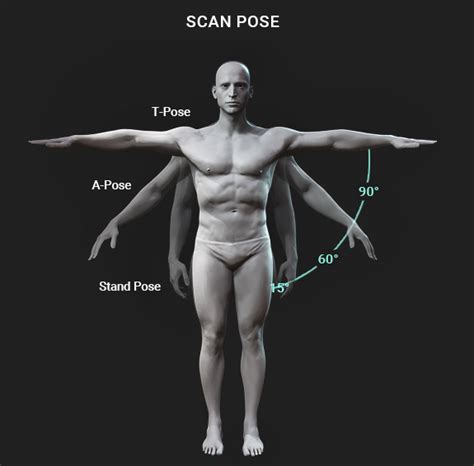 Aggregate More Than 87 Skyrim Stuck In T Pose Best Nanoginkgobiloba Vn