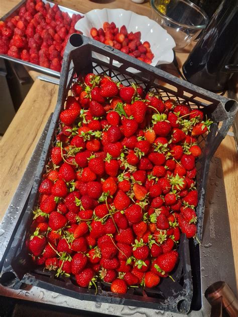 თამუნია მექერიშვილი Added A New Photo თამუნია მექერიშვილი