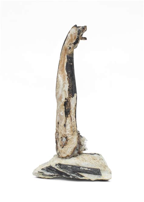L245 – Interi