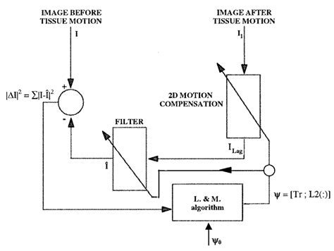 Block Diagram Showing The Implementation Of The Tissue Motion Download Scientific Diagram