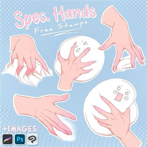 Free Special Anatomy Hand Stamps Must Have Procreate Brushes For