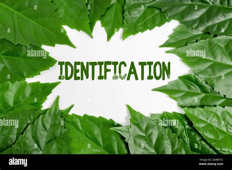 Writing Displaying Text Identification Concept Meaning An Action Or Procedure To Identify