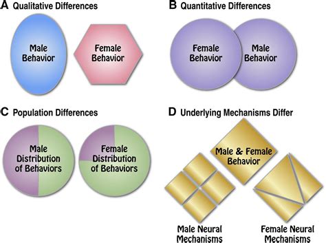 Sex Differences In Animal Models Focus On Addiction Pharmacological