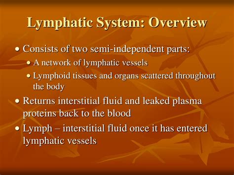 Ppt Lymphatic System Overview Powerpoint Presentation Free Download