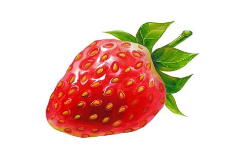 딸기 기초디자인 개체표현 시범작 Strawberry Watercolor Watercolor Food Watercolor Food Illustration
