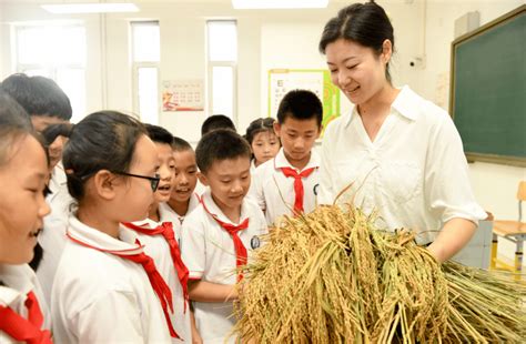 东羽小学：珍惜粮食 从孩子抓起教育金桥街道稻穗