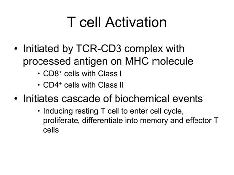 T Cell Development Maturation Activation And Differentiation PPT