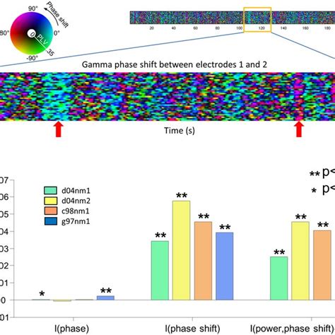 Shifts Of Gamma Phase Are Dynamically Modulated By The Visual Download Scientific Diagram