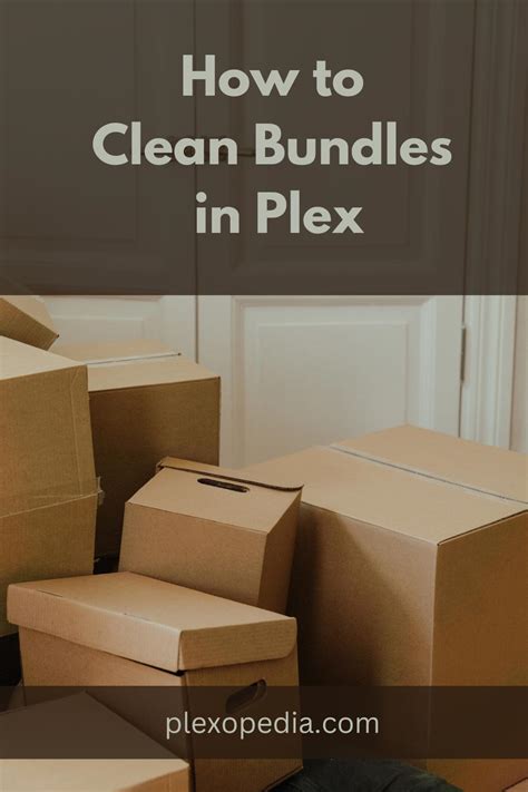 How To Clean Bundles In Plex Plexopedia How To Clean Bundles In Plex Plexopedia