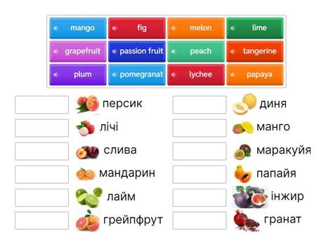 Friuts Part 2 Match Up