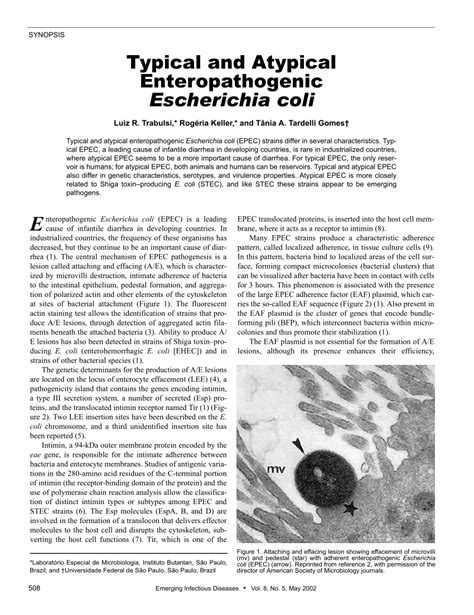 Pdf Typical And Atypical Enteropathogenic Escherichia Coli Epec