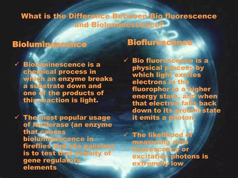 Bioluminescence By Iqra Malik Pptx