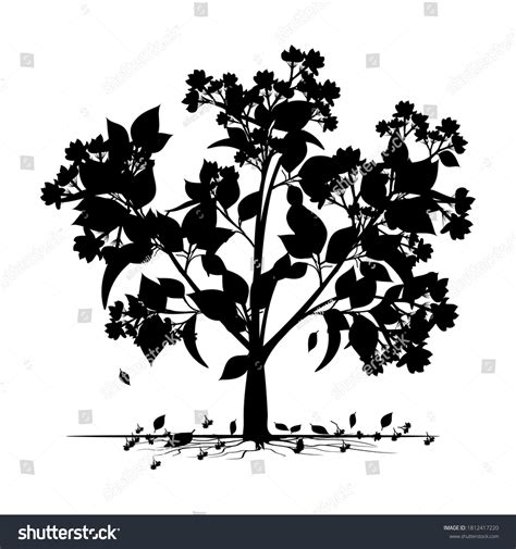 Tree Roots Silhouette On White Background Stock Vector Royalty Free 1812417220 Shutterstock