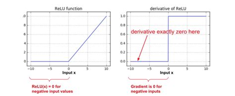 What Is The Dead Relu Problem And Why Is It An Issue In Neural Network Training
