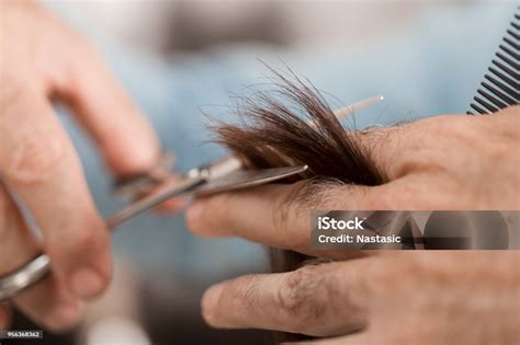 Tukang Cukur Memotong Rambut Foto Stok Unduh Gambar Sekarang 30 34 Tahun 70 79 Tahun